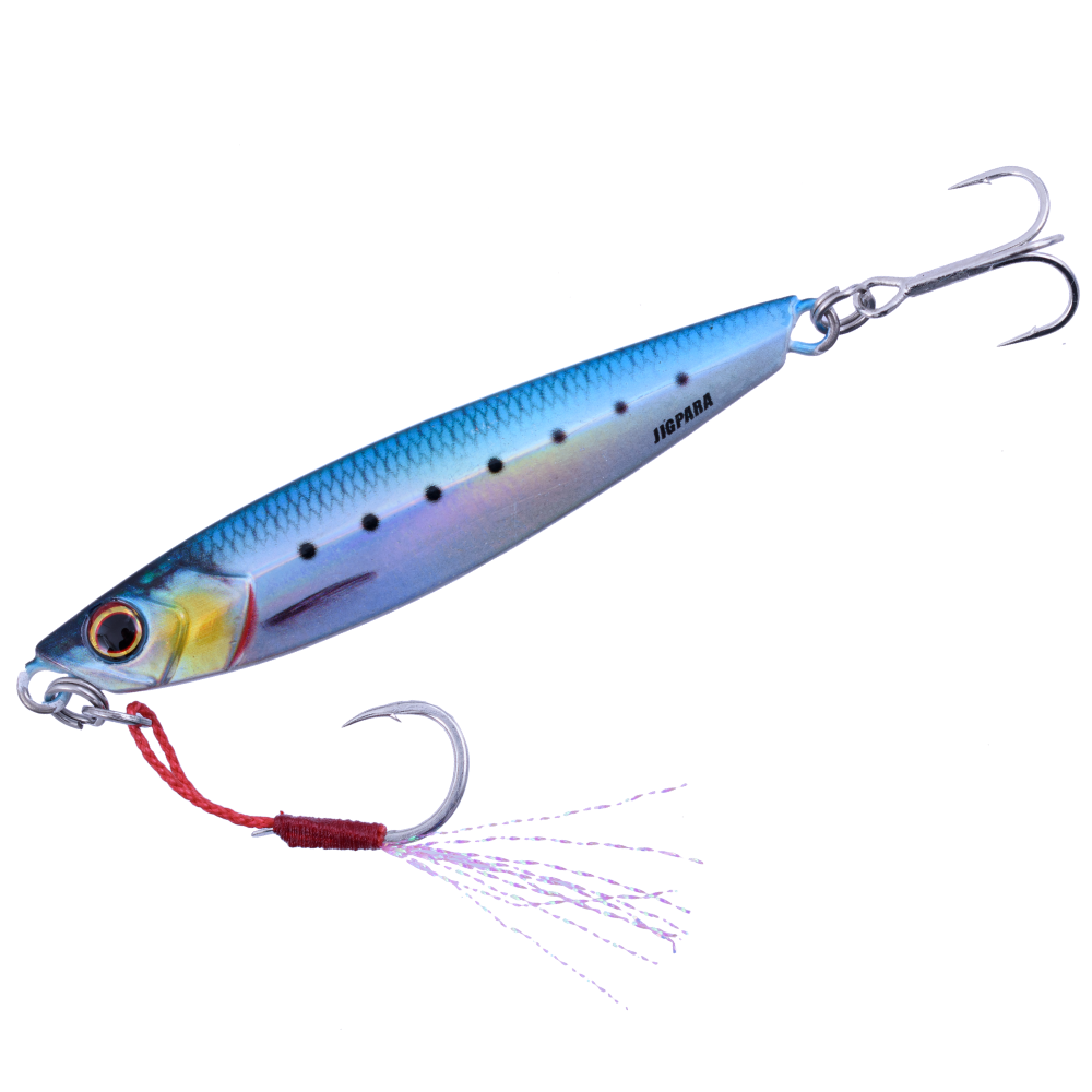 Major Craft Jigpara Standard Iwashi 40g